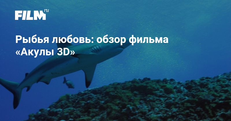 Рыбья любовь: обзор фильма «Акулы 3D»