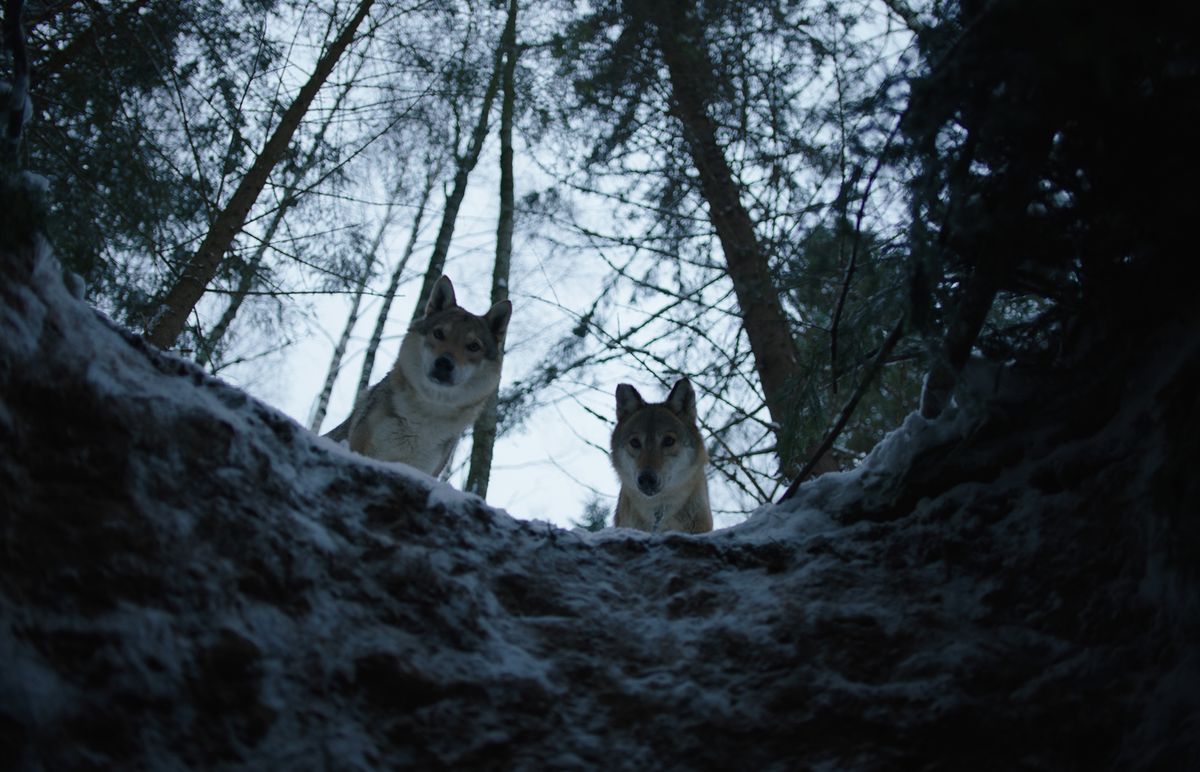 Летчик (2021) — Фильм.ру