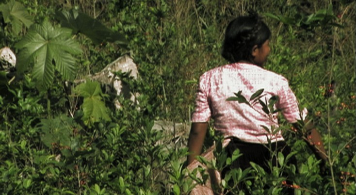 Кокалеро (2007) - Фото и кадры из фильма - Фильм.ру