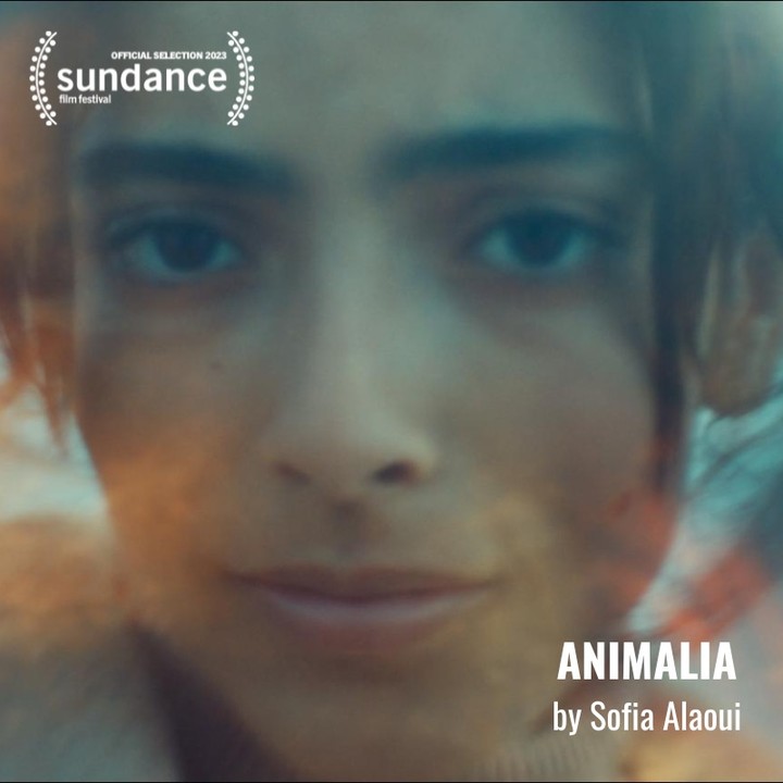 Animalia (2023) — Фильм.ру