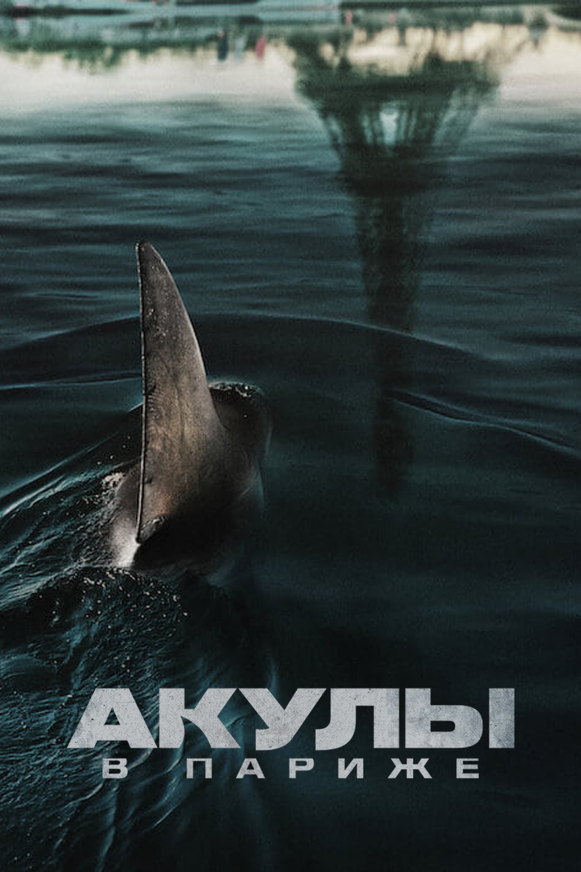 Акулы в Париже (2024) — Фильм.ру