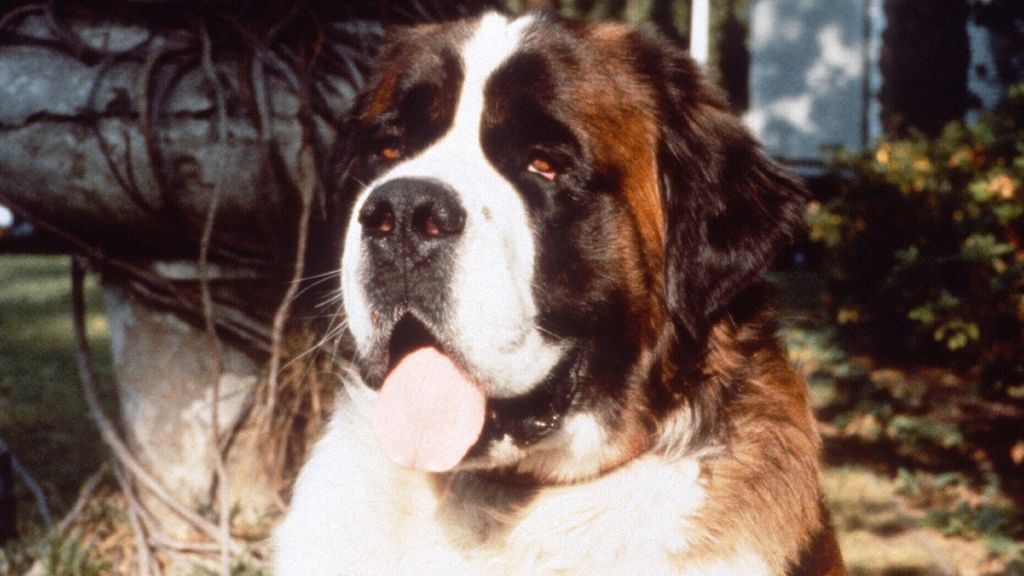 Бетховен (1992) — Фильм.ру
