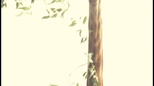 Легенда №17 (2013) - Трейлеры на русском языке - Фильм.ру